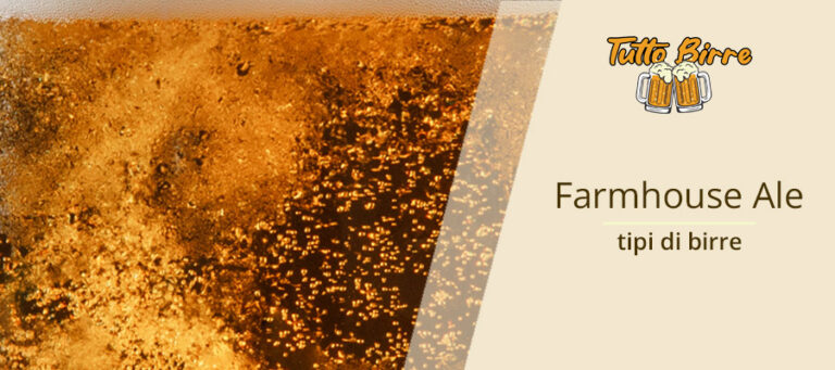 Farmhouse Ale: caratteristiche e abbinamenti – Tutto Birre